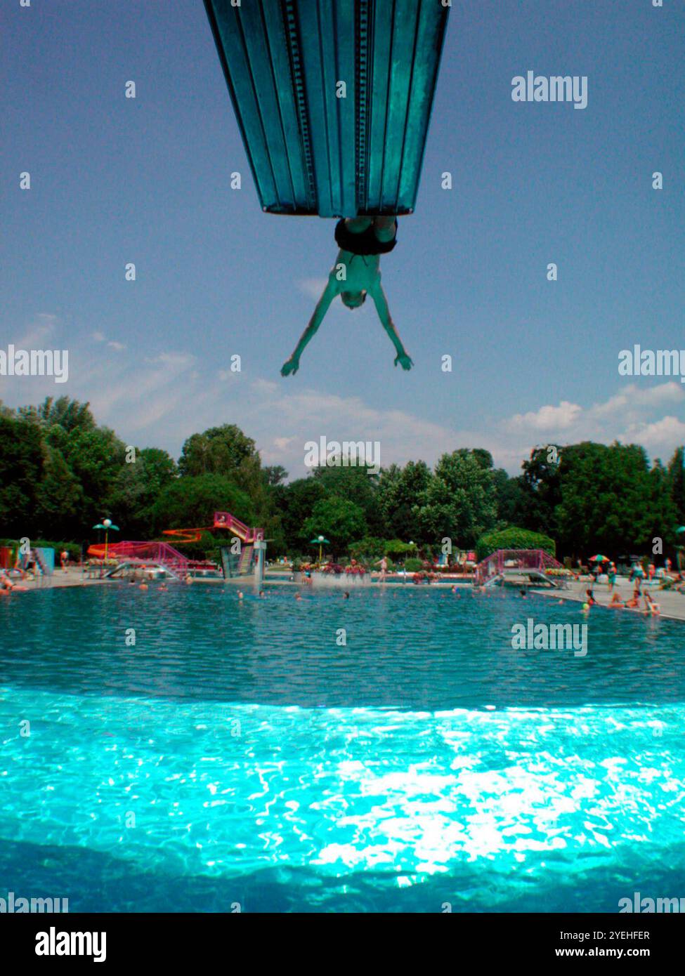 diving into the swimming pool with a header on a summer day diving into ...