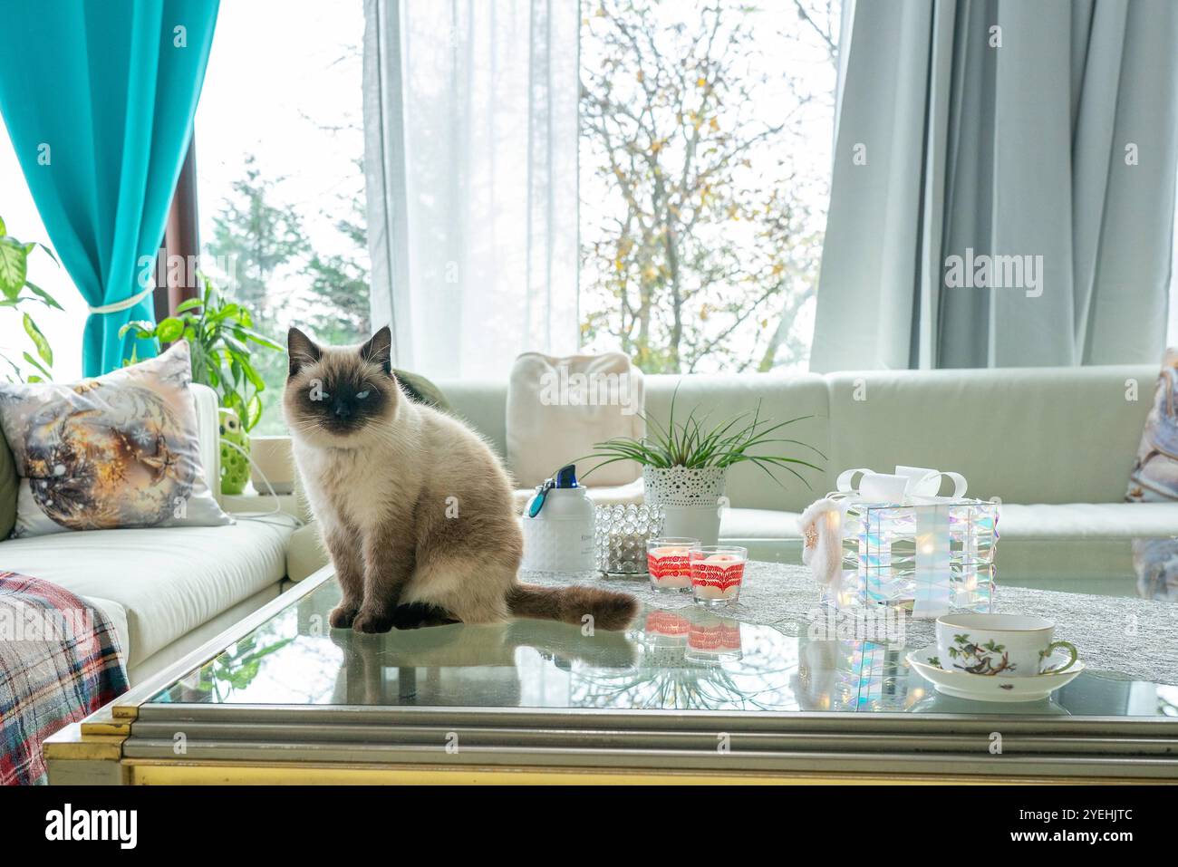 Simone Lugner at home in the Lugner Villa (foundation) in Vienna ...