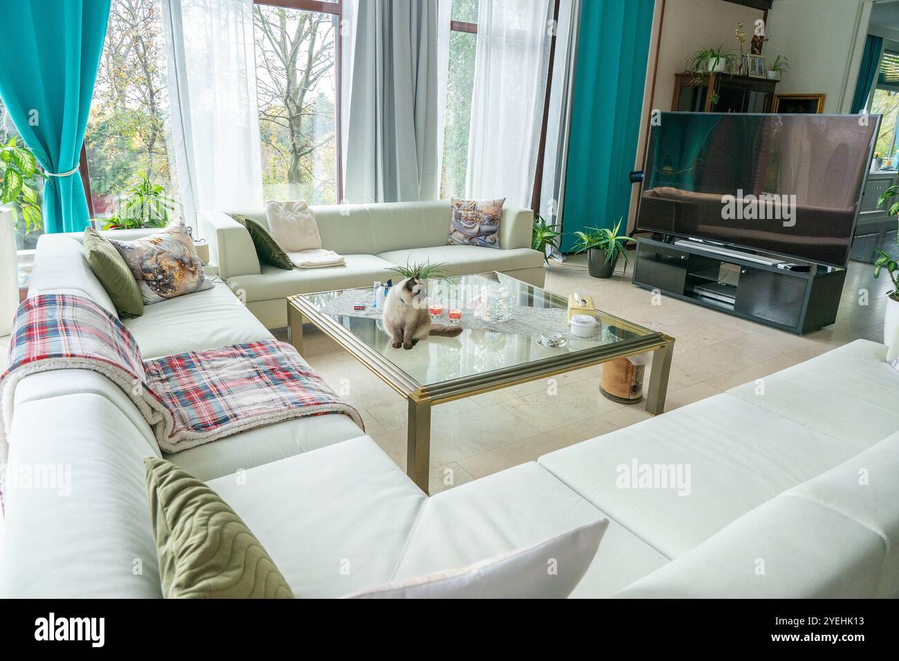 Simone Lugner at home in the Lugner Villa (foundation) in Vienna ...