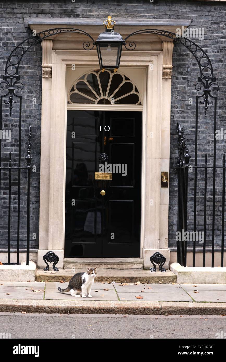 London, UK. 30th Oct, 2024. Larry the Cat, Chief Mouser, outside Number ...