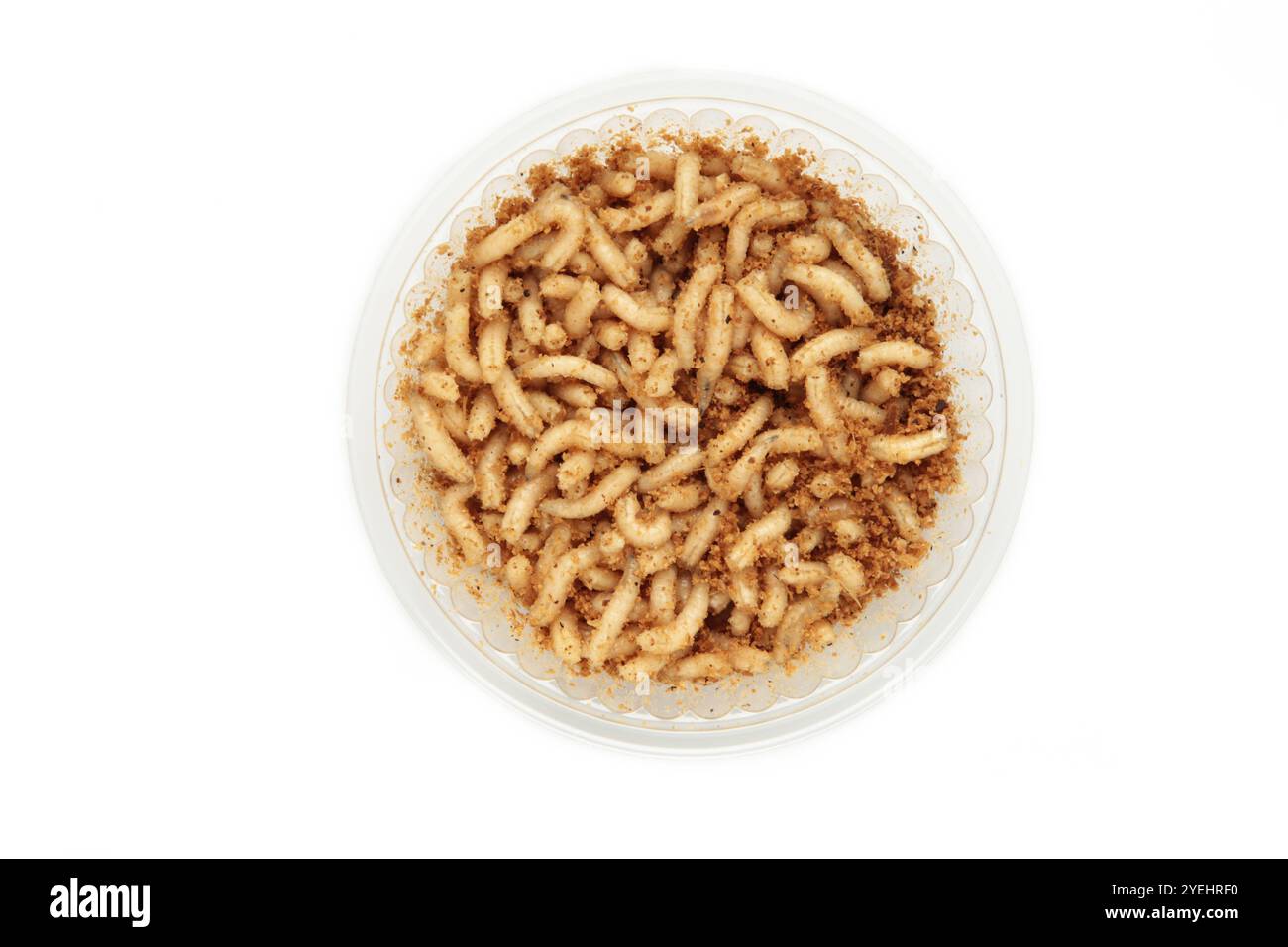 Caterpillar plastic Cut Out Stock Images & Pictures - Alamy