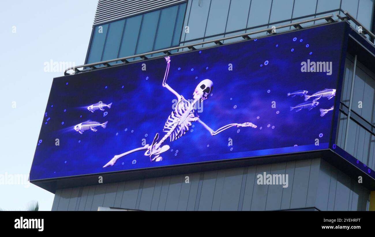 Los Angeles, California, USA 29th October 2024 Halloween Skeleton ...