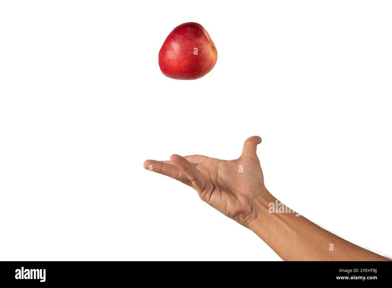 Male hand tossing a red apple in the air isolated on white background ...