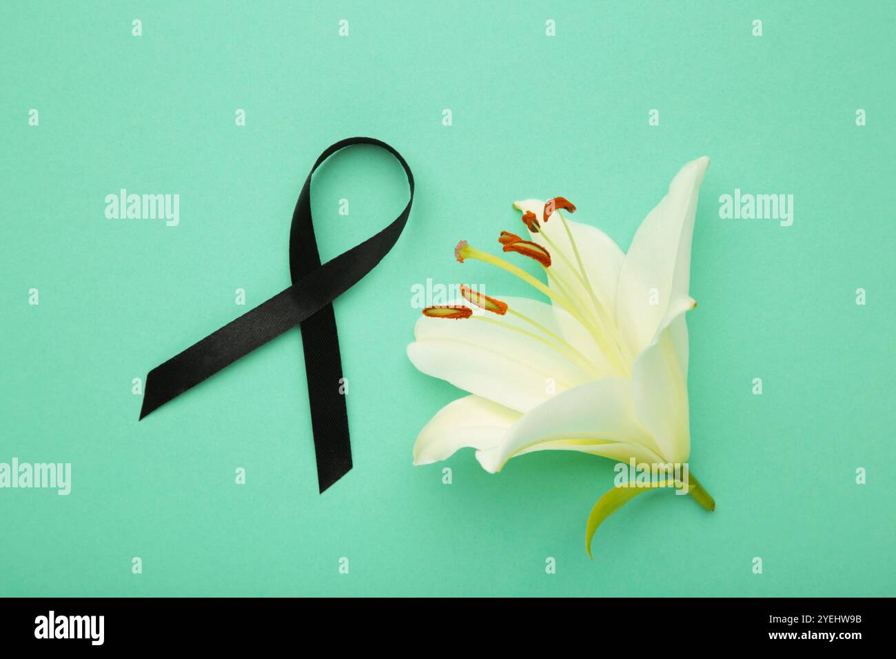 White liles flowers with black ribbon. Mourning or funeral background ...