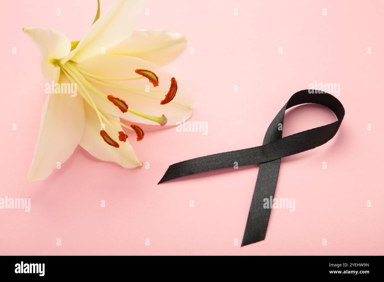 White liles flowers with black ribbon. Mourning or funeral background ...