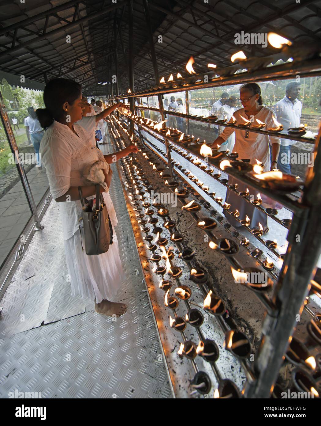 Sri Lankan pilgrims pour oil into candle holders at the Buddhist Temple ...