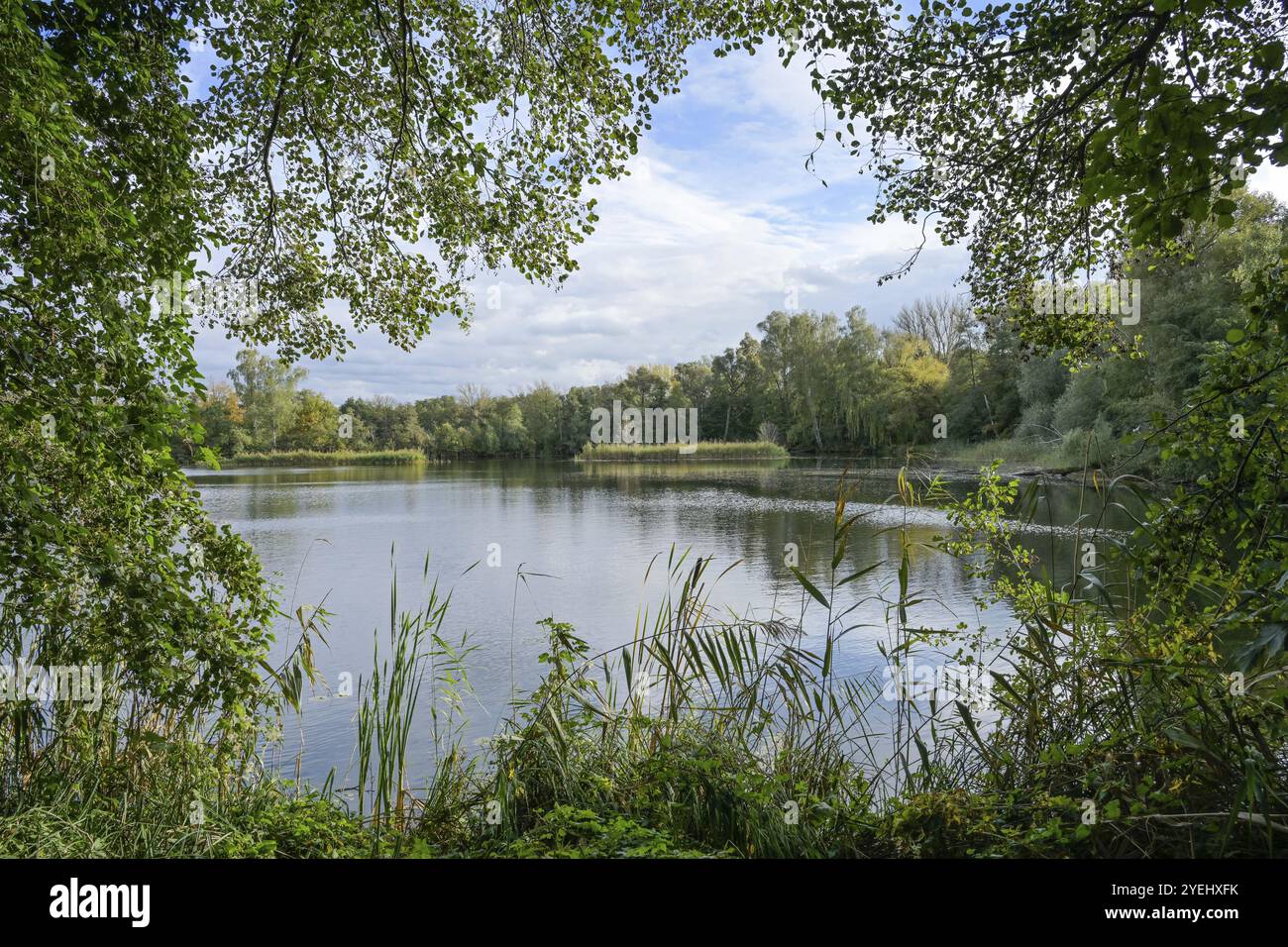 Gross pond hi-res stock photography and images - Alamy