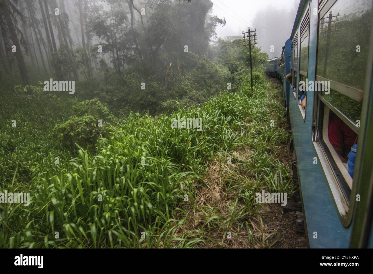 Landscape photography in the fertile highlands in a subtropical climate ...
