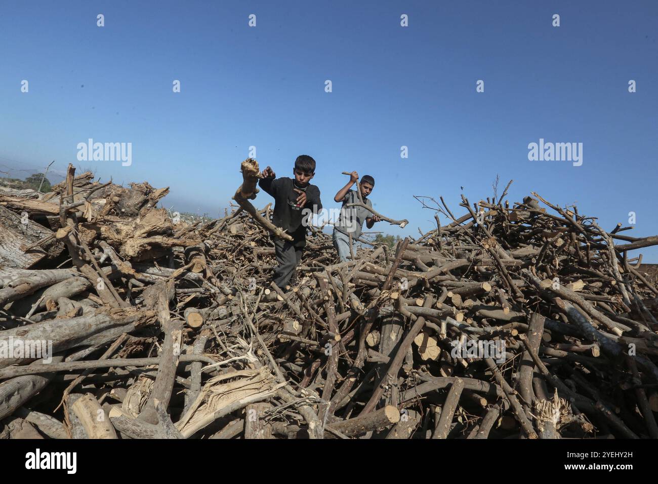 Palestinian workers rakes burnt wood at a charcoal production site in ...