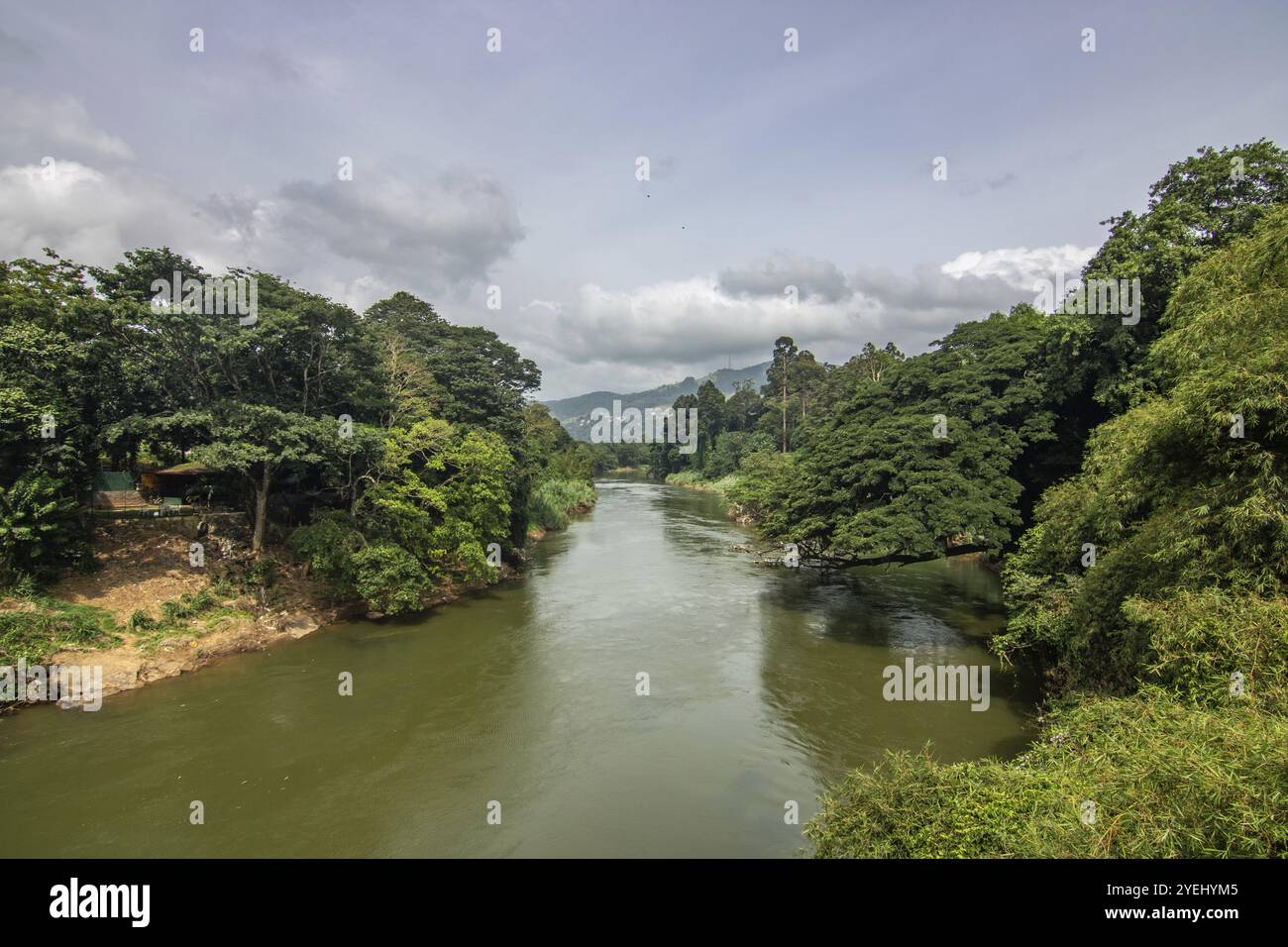 Landscape photography in the fertile highlands in a subtropical climate ...