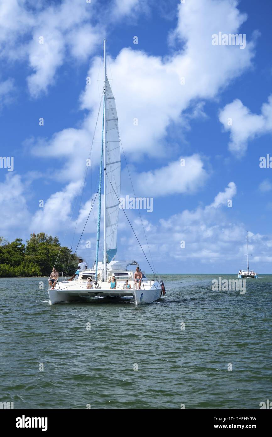 Excursion boats, catamaran, tourists, estuary, Grand River South East, GRSE, Beau Champ, east ...