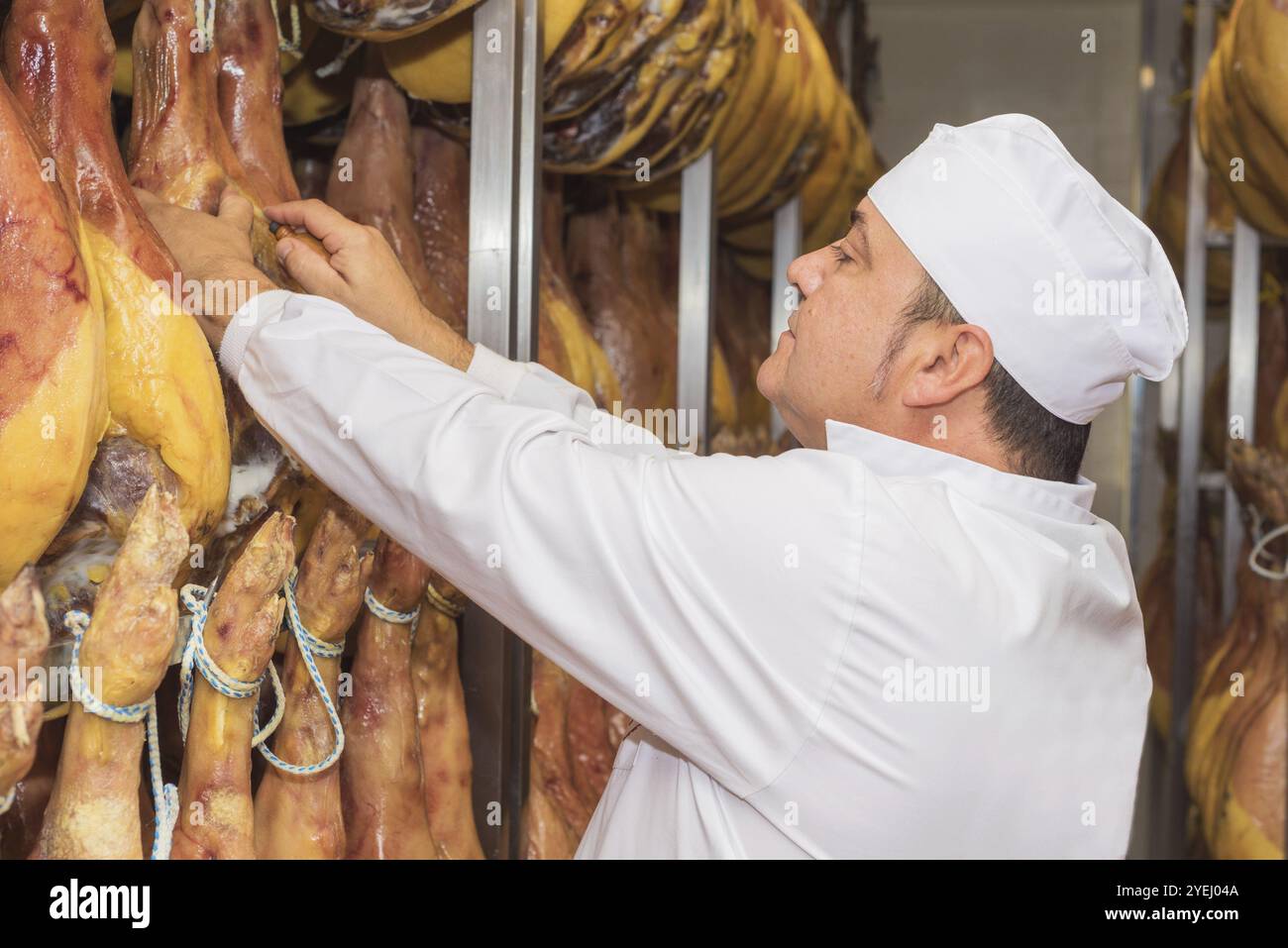 Man controlling the curing of spanish jamon. Food industry concept ...