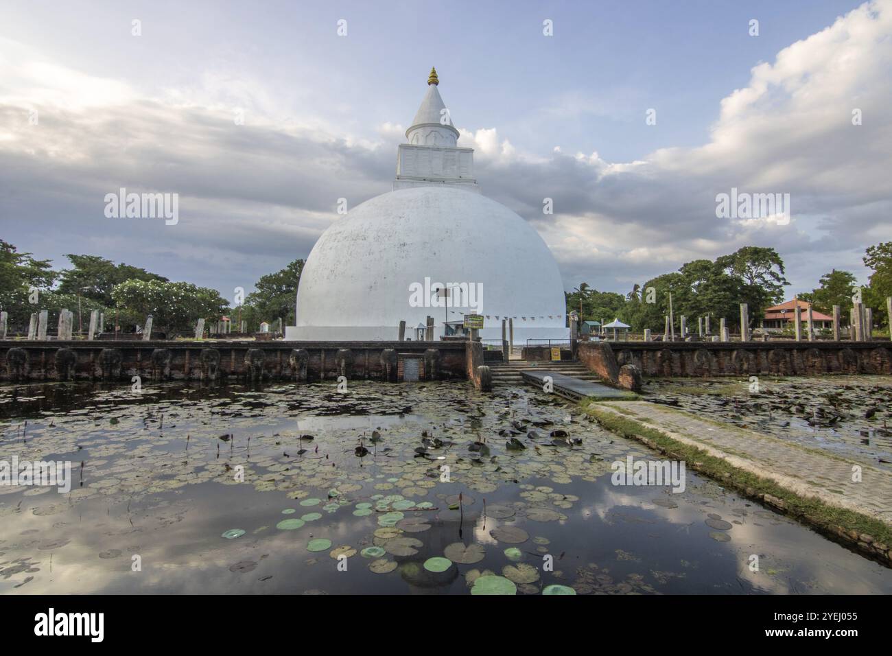Landscape photography in a subtropical climate. Lagoon or marshland by ...