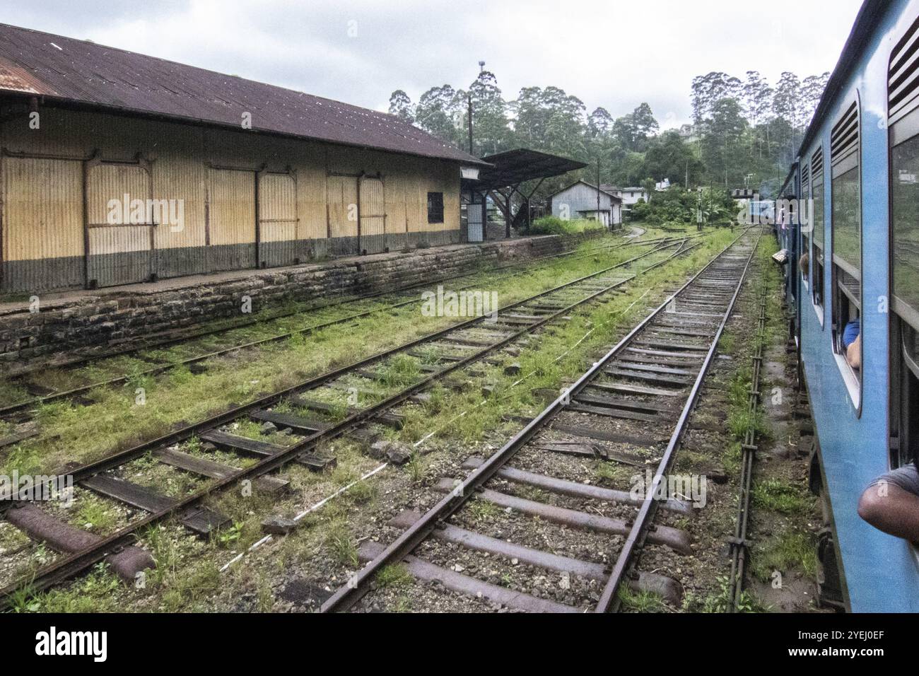 Landscape photography in the fertile highlands in a subtropical climate ...