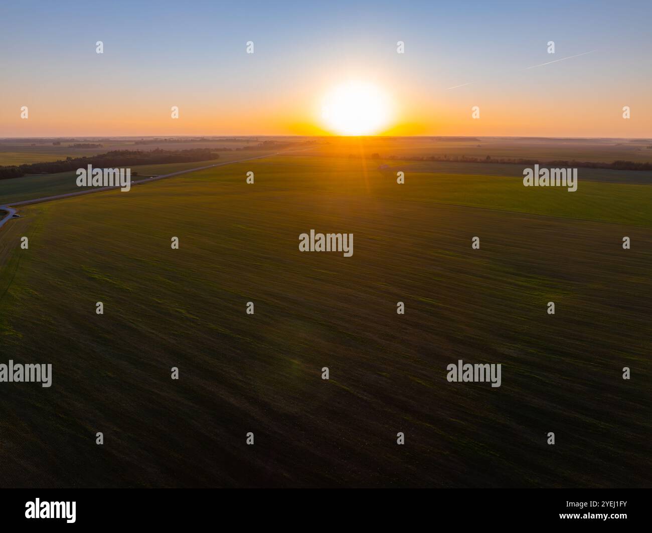 Aerial view expansive golden fields hi-res stock photography and images ...