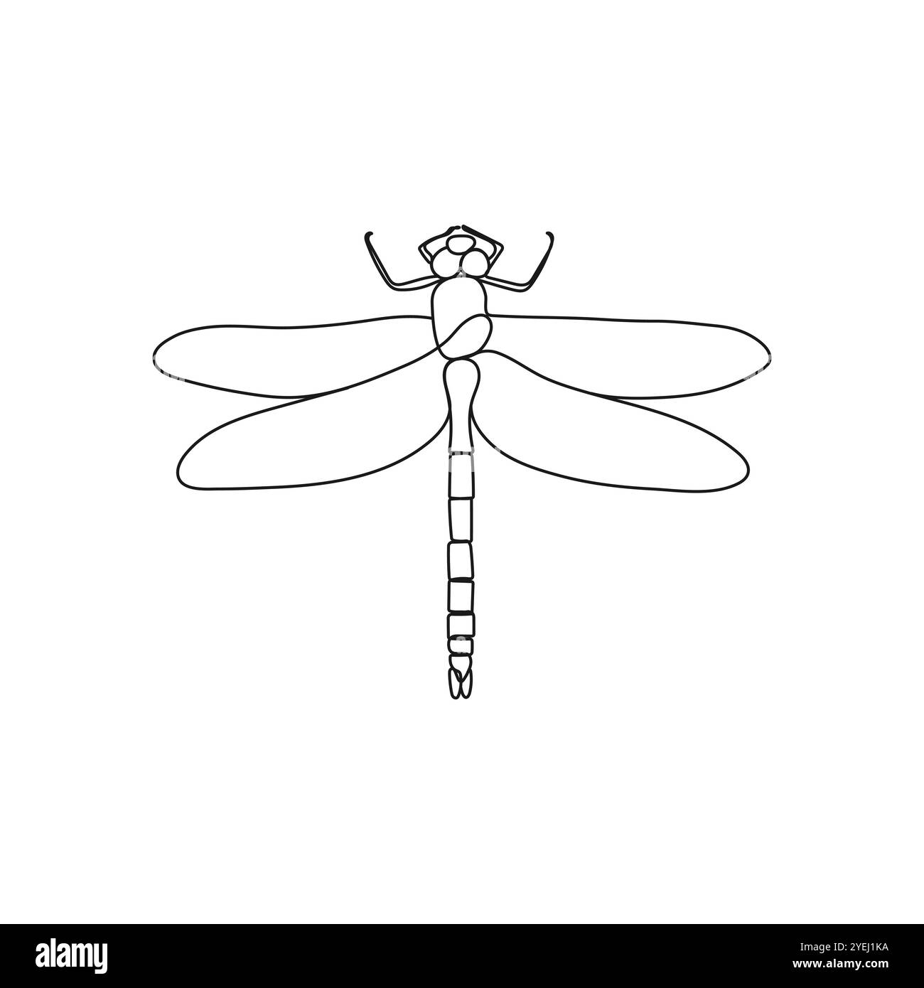 Dragonfly drawing Cut Out Stock Images & Pictures - Alamy
