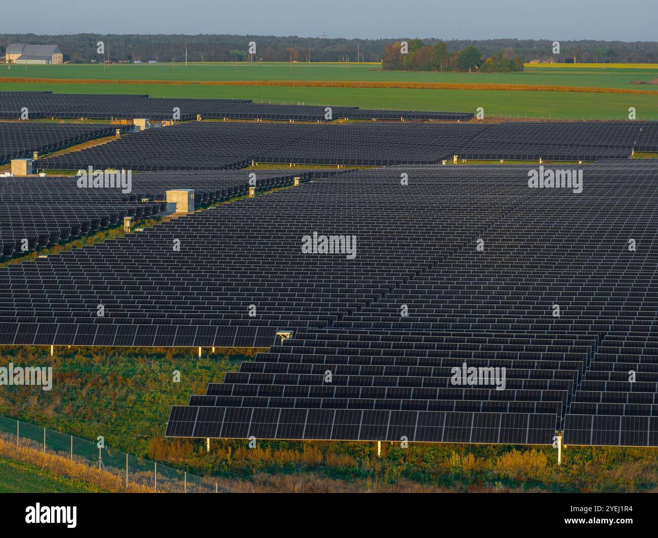 Expansive Solar Panel Farm in Lithuania with Lush Green Fields Stock ...