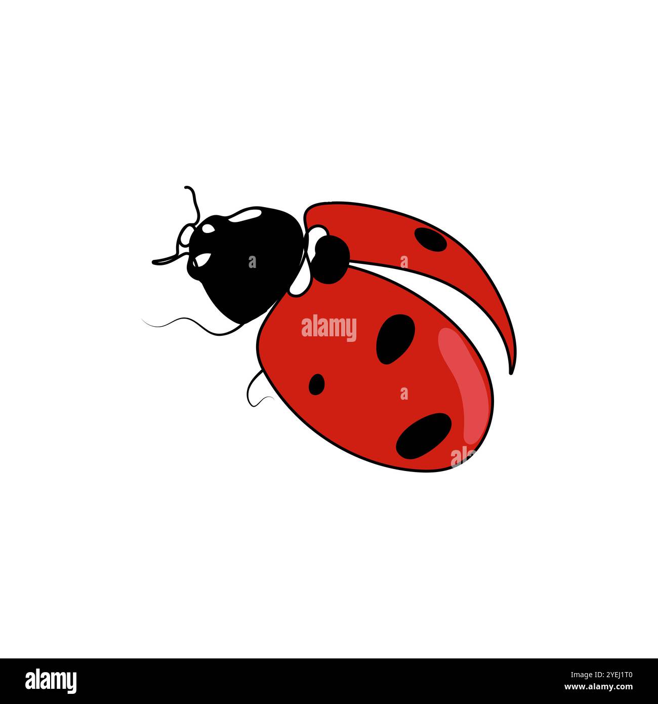 Red ladybug or ladybird. Line art vector illustration Stock Vector ...