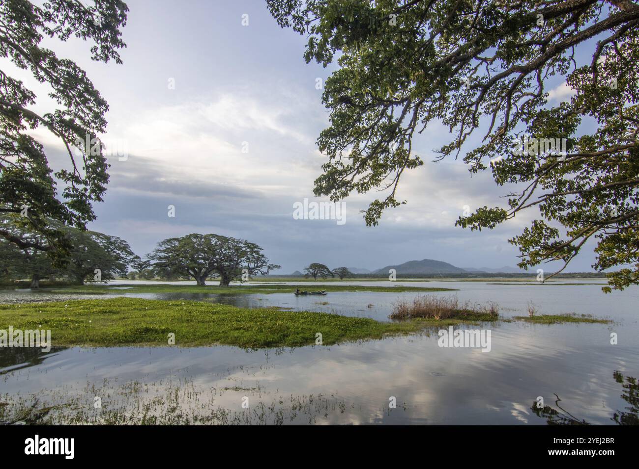 In wet climates hi-res stock photography and images - Alamy