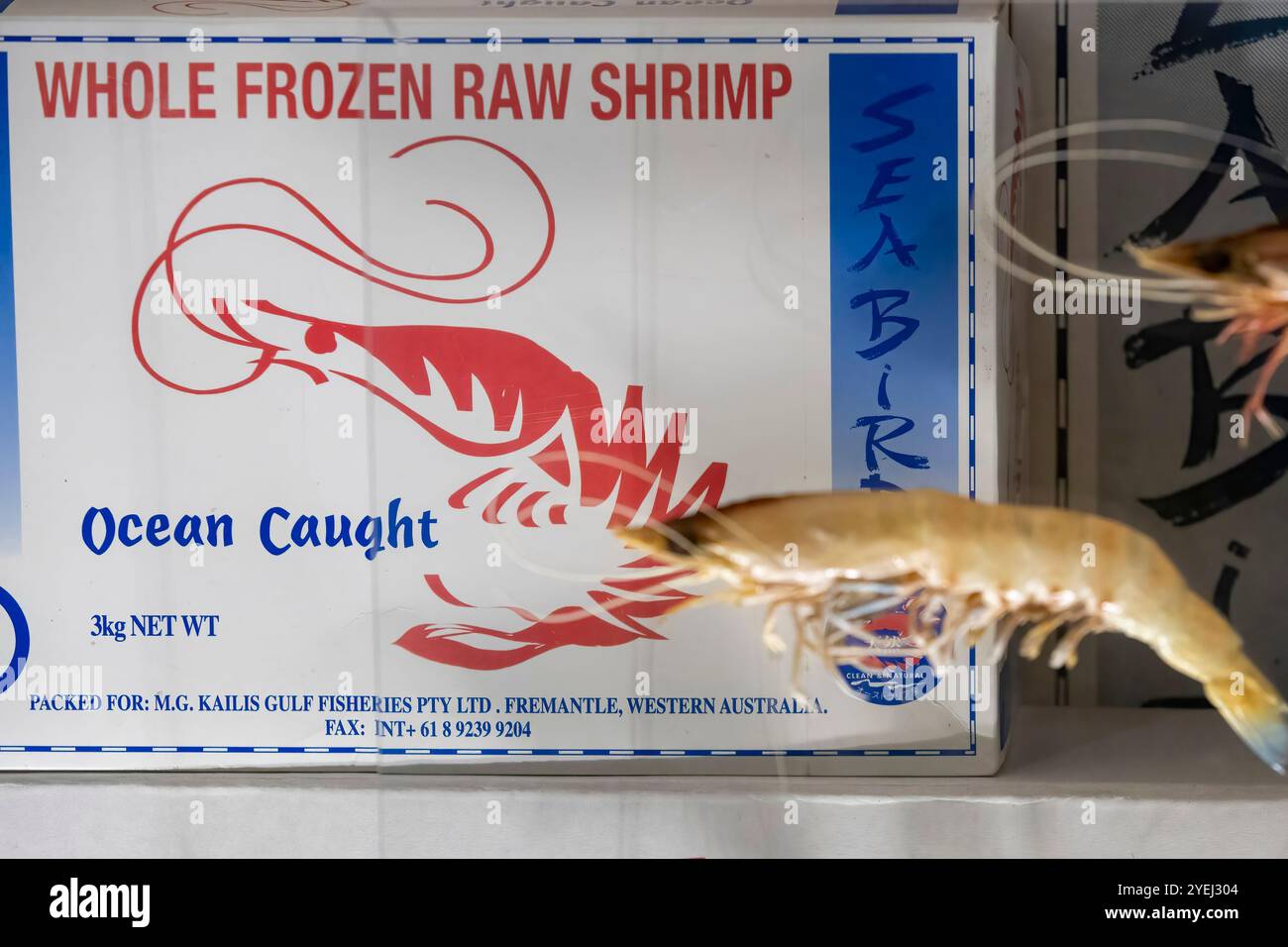 Display of three frozen raw shrimp in a museum or exhibit setting, with ...