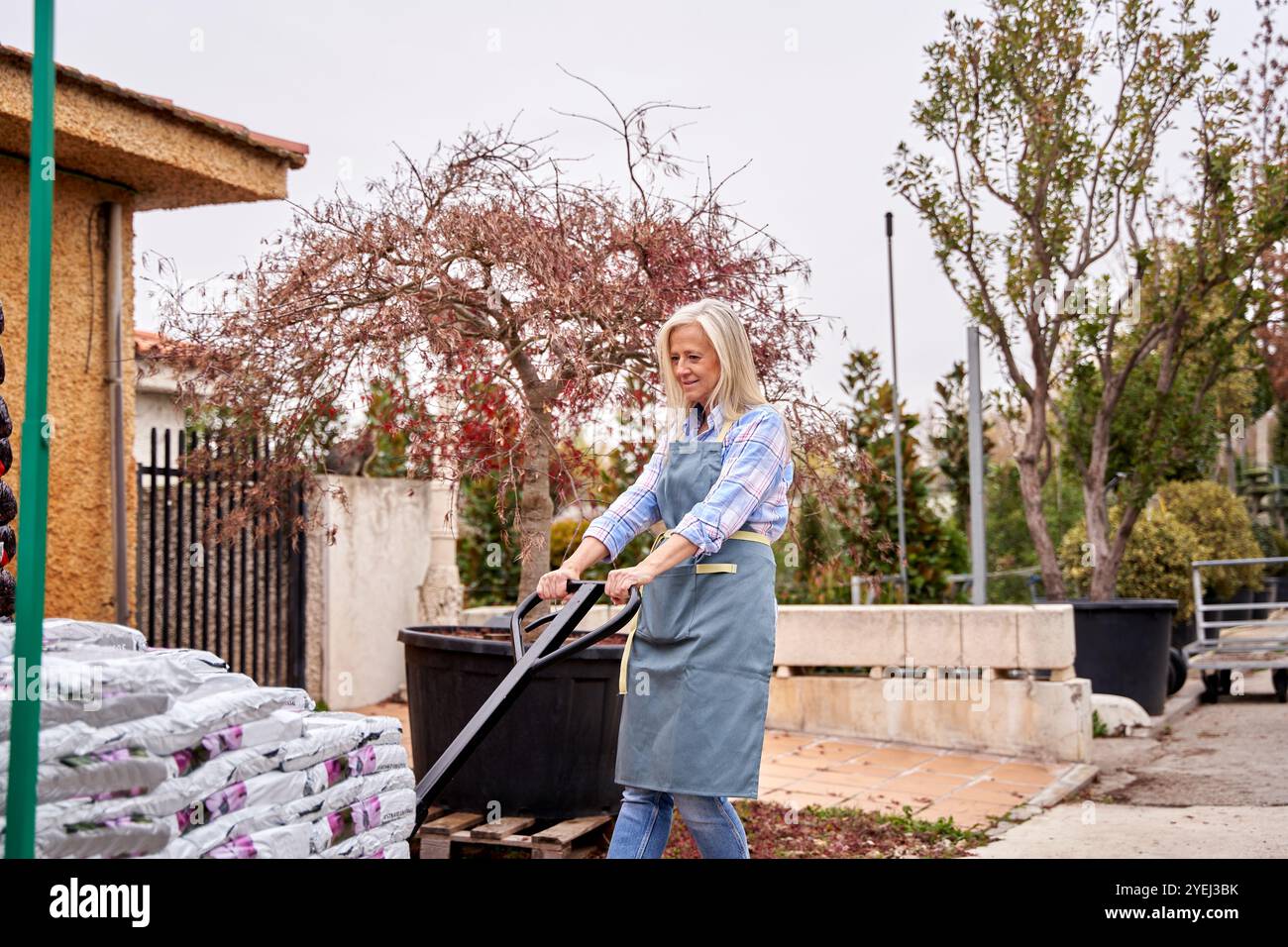 woman farmer pulling material with forklift cart at Greenhouse Stock ...