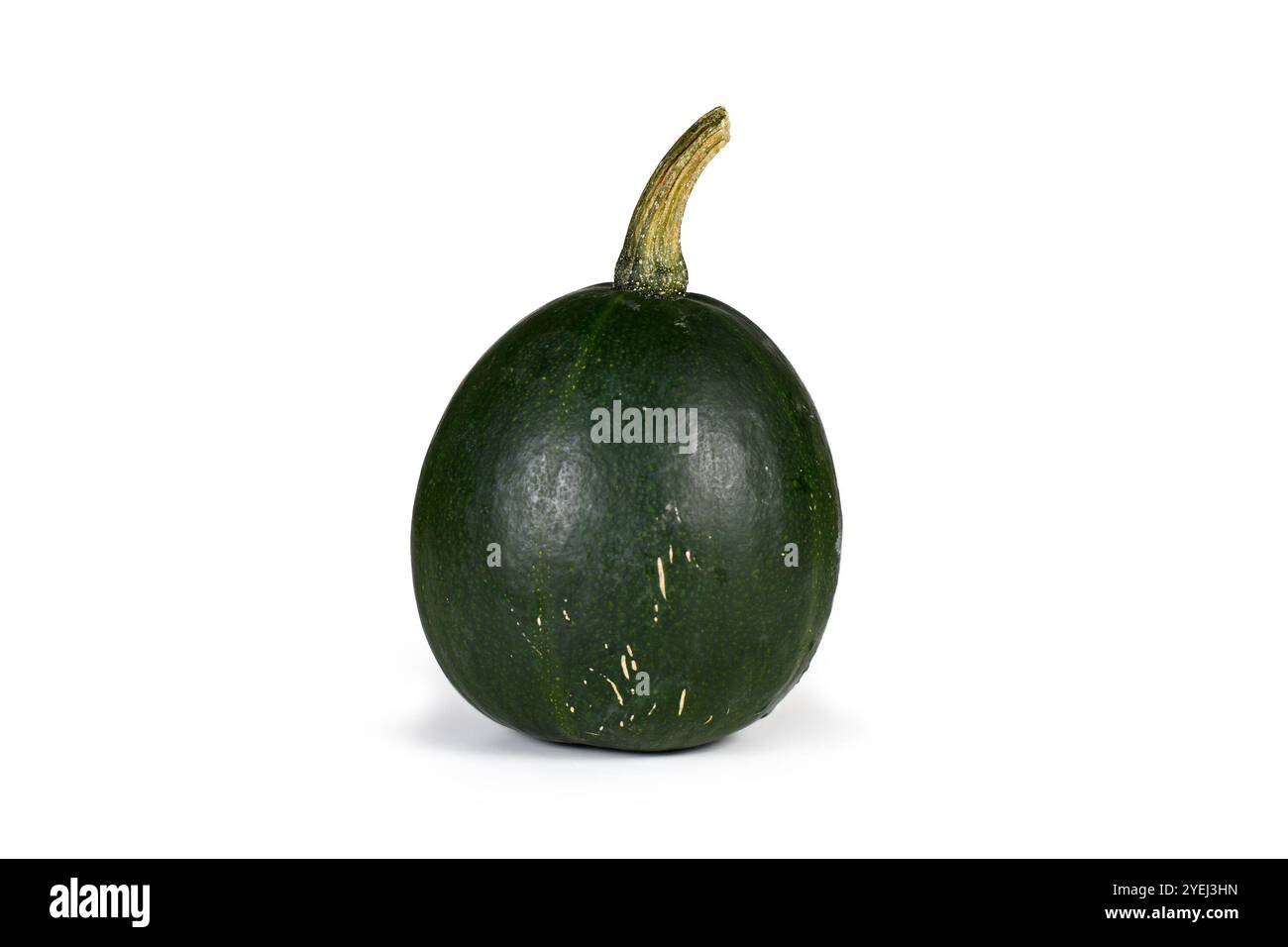 African smaragd squash hi-res stock photography and images - Alamy