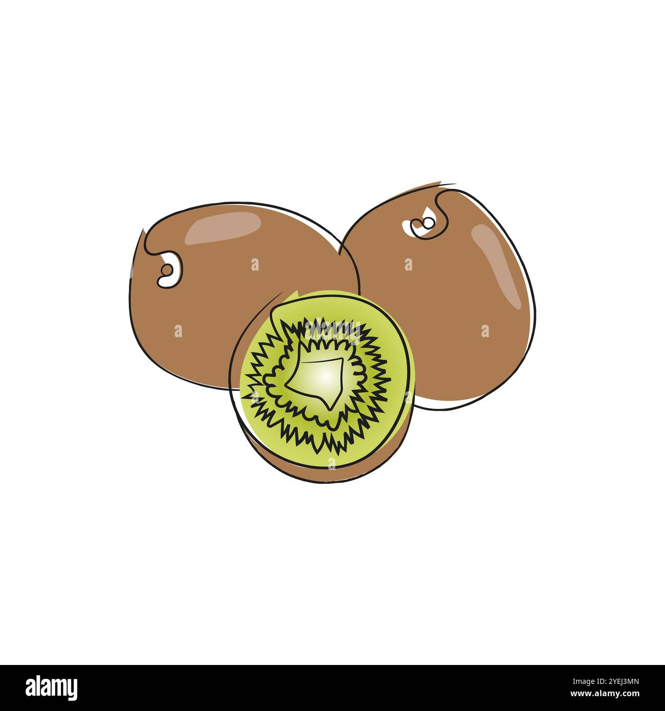 Kiwi slice line drawing Cut Out Stock Images & Pictures - Alamy