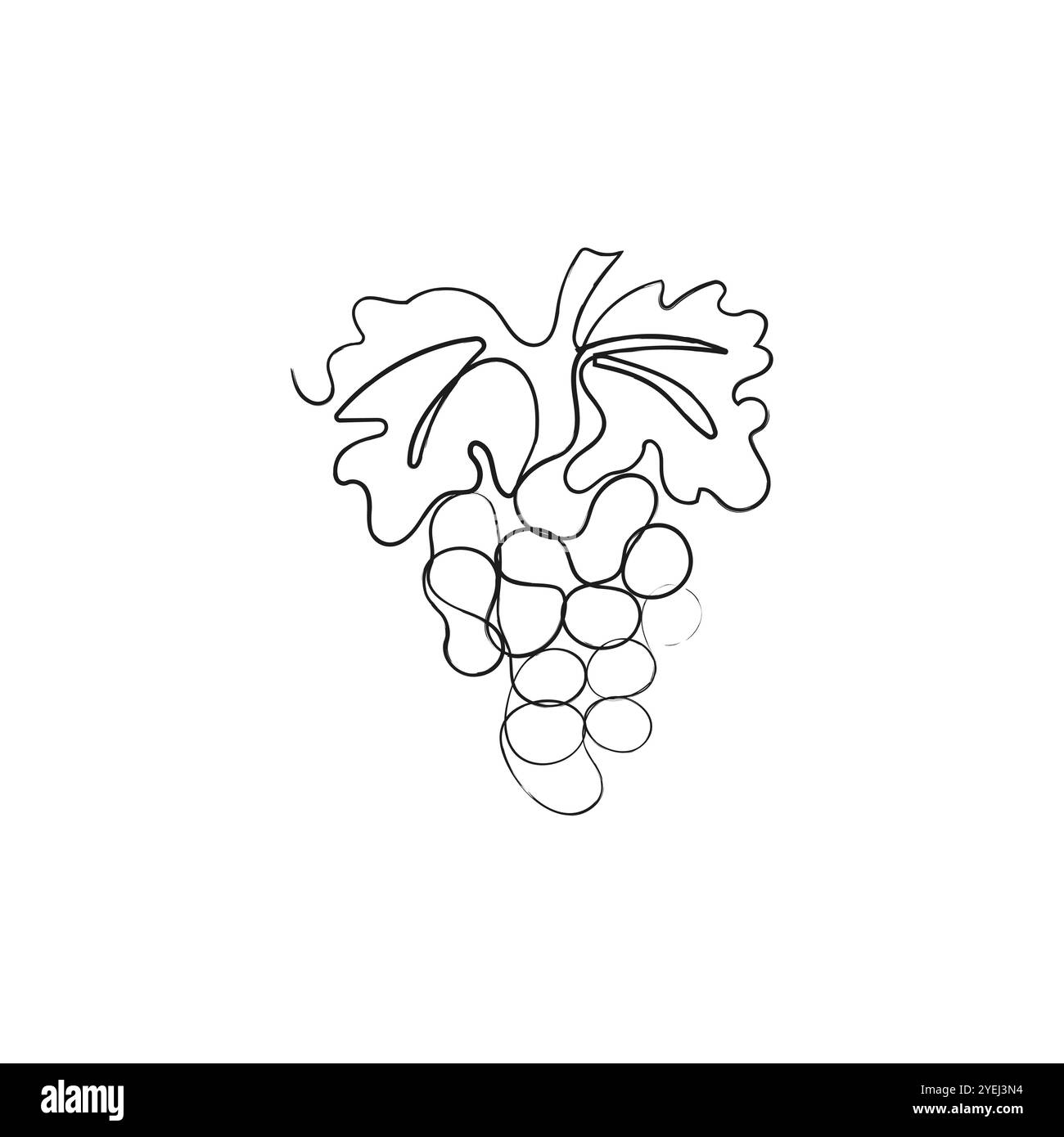 Grape bunch. Hand drawn vector illustration of fruit in minimalist one line art style Stock ...
