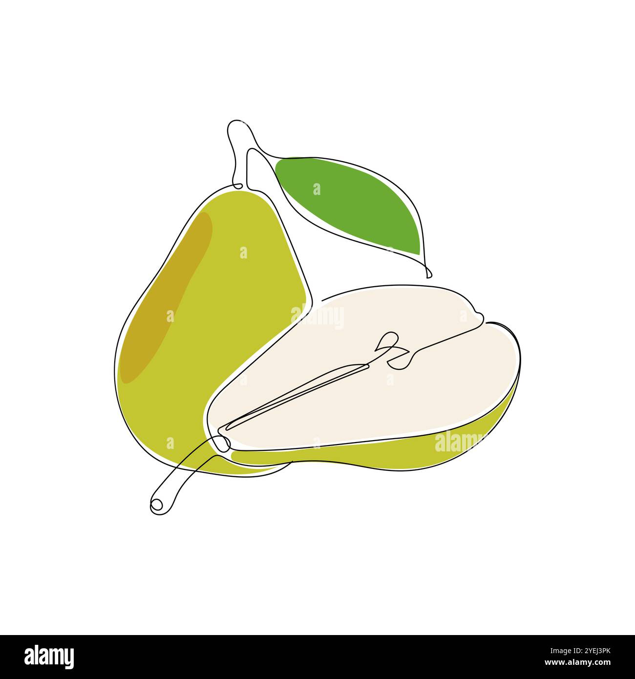 Green pear fruit in continuous line art drawing style. Sliced and whole ...