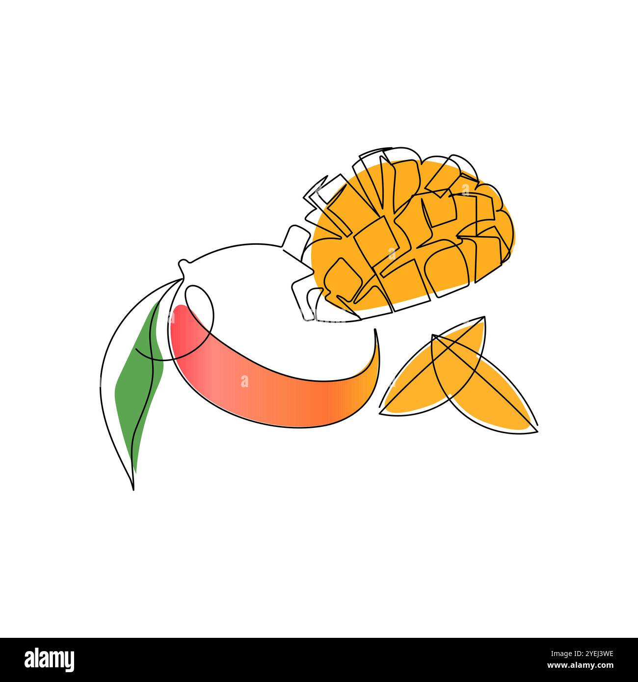 Mango tropical fruit. One line drawing art color illustration. Hand ...