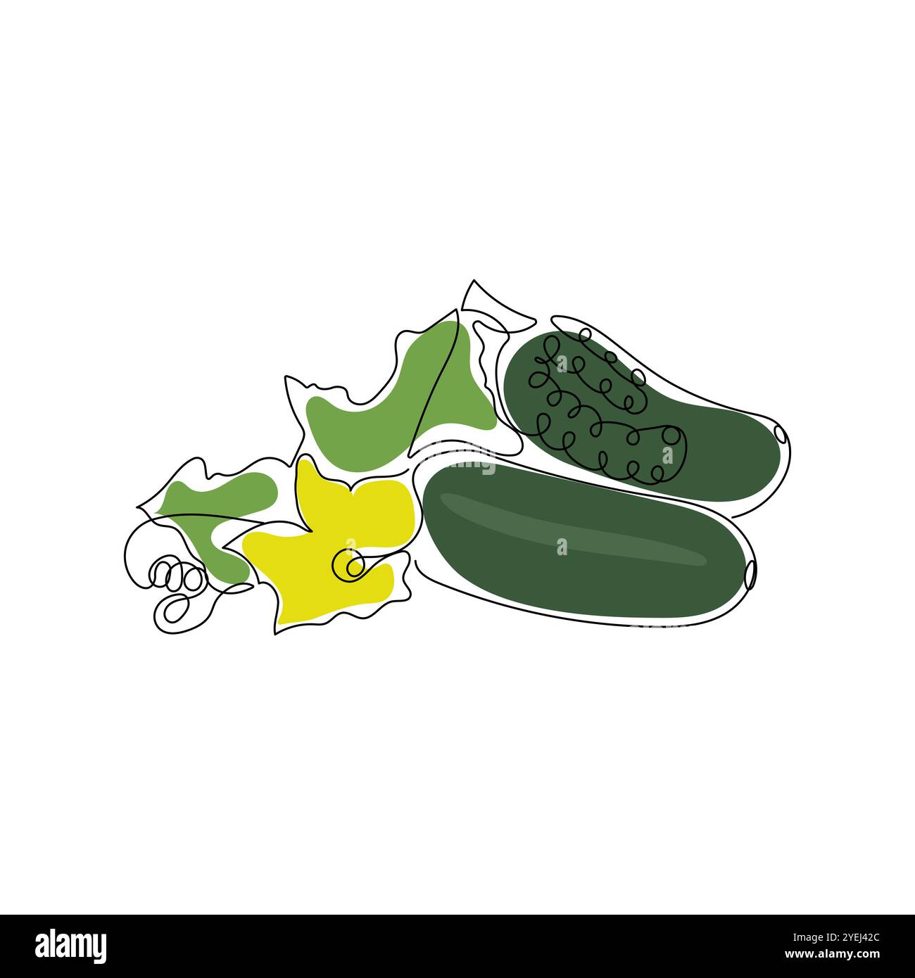 Flower and leaves of cucumber Stock Vector Images - Alamy