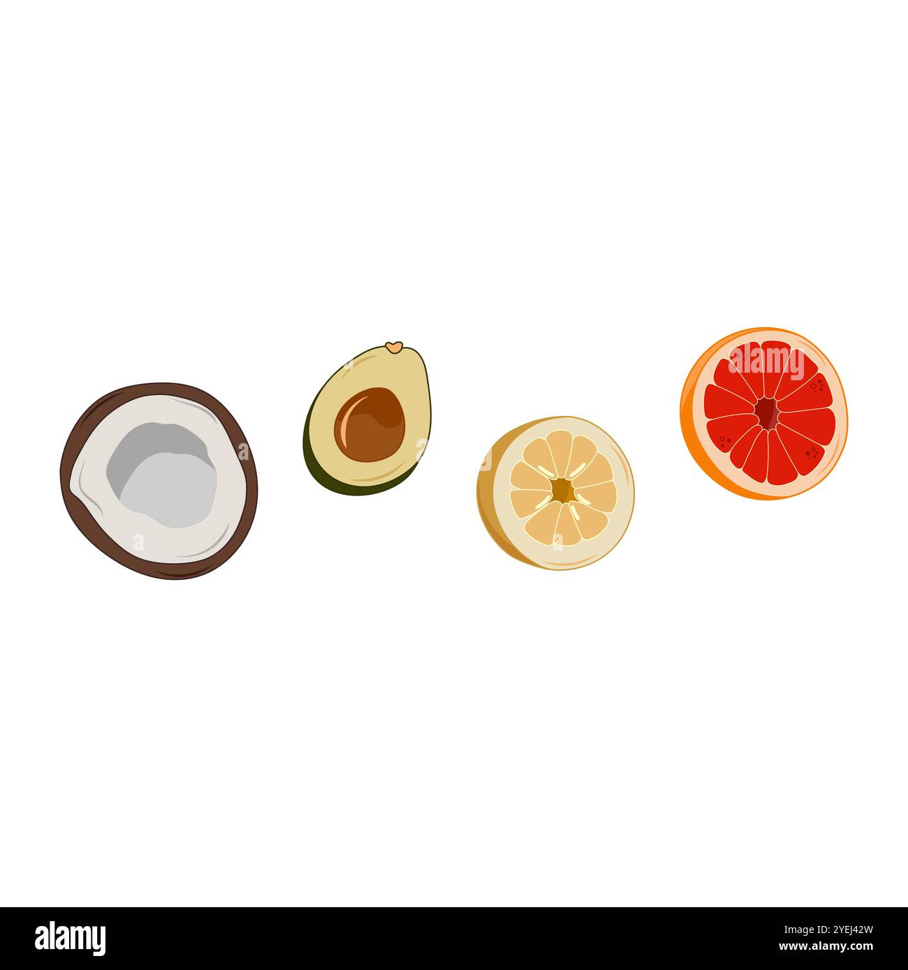 Set of exotic, tropical fruits. Cut in half coconut, avocado, lemon and ...