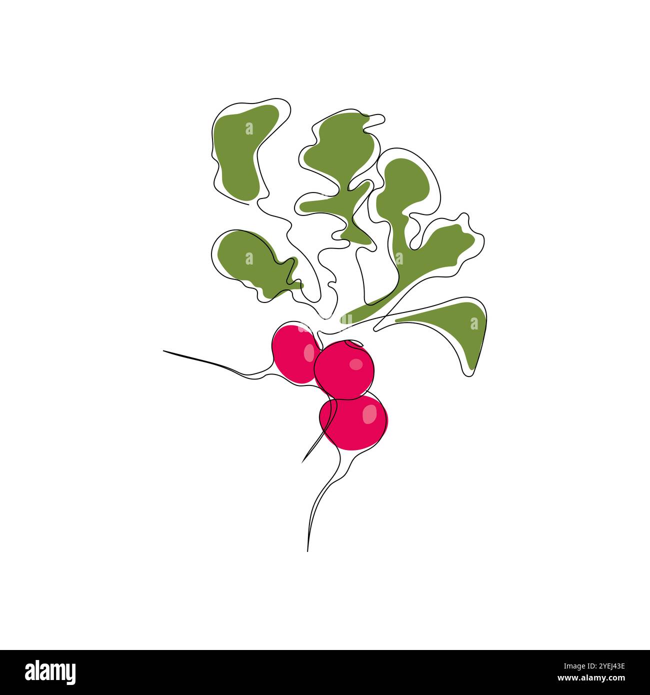 Red radish bundle in continuous line art drawing style. Minimalist ...