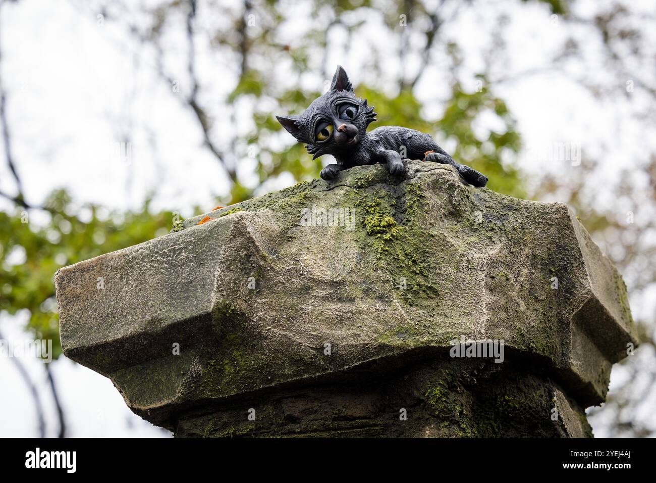 KAATSHEUVEL - A black cat at the new attraction "Danse Macabre" at ...