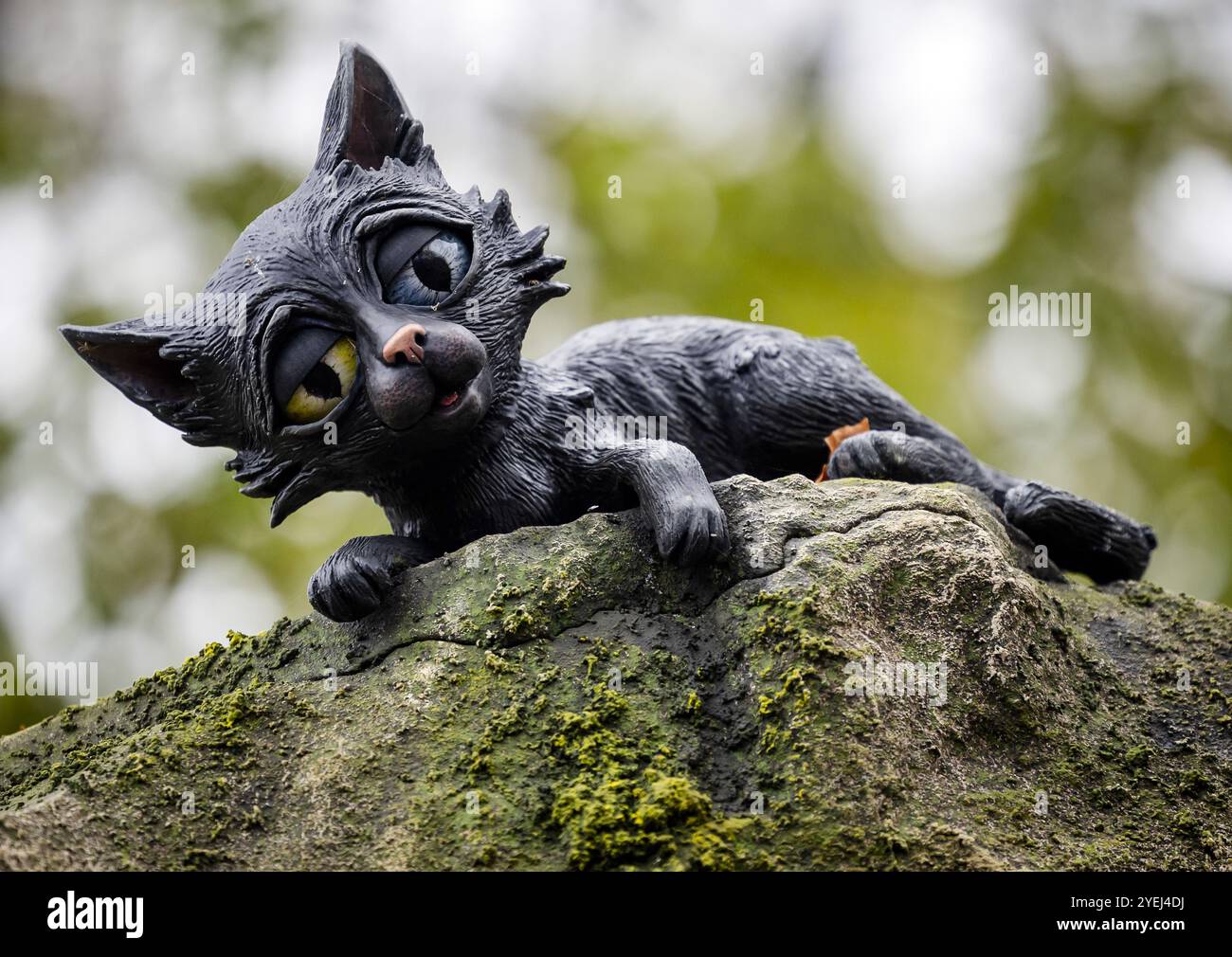 KAATSHEUVEL - A black cat at the new attraction "Danse Macabre" at ...