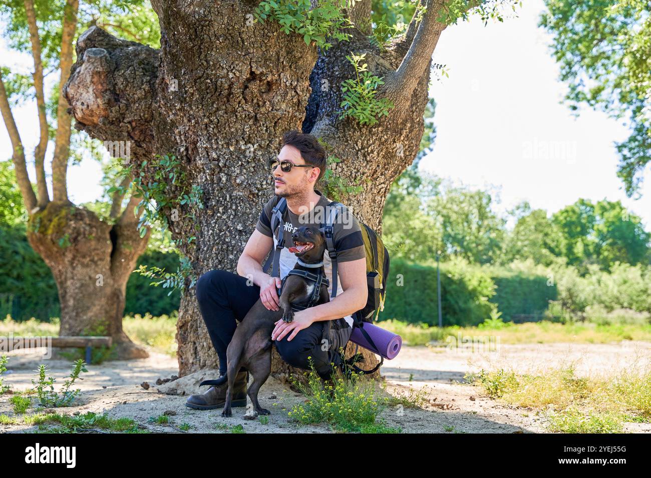 Relaxing under tree hi-res stock photography and images - Alamy