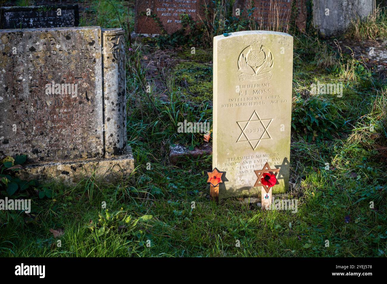 Jewish grave of Lieutenant P.L. Moss of the Intelligent Corps at The ...