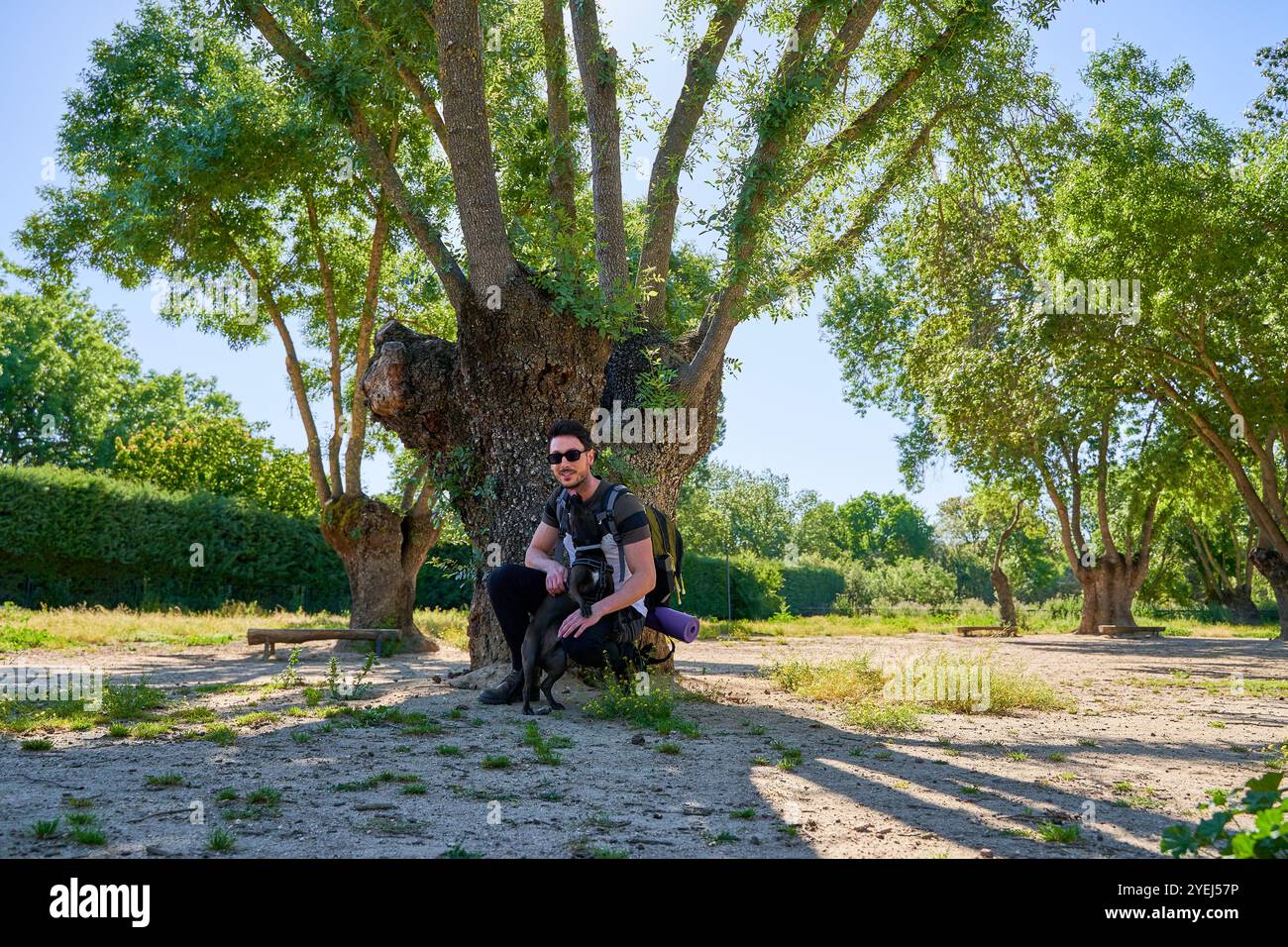 Relaxing under tree hi-res stock photography and images - Alamy
