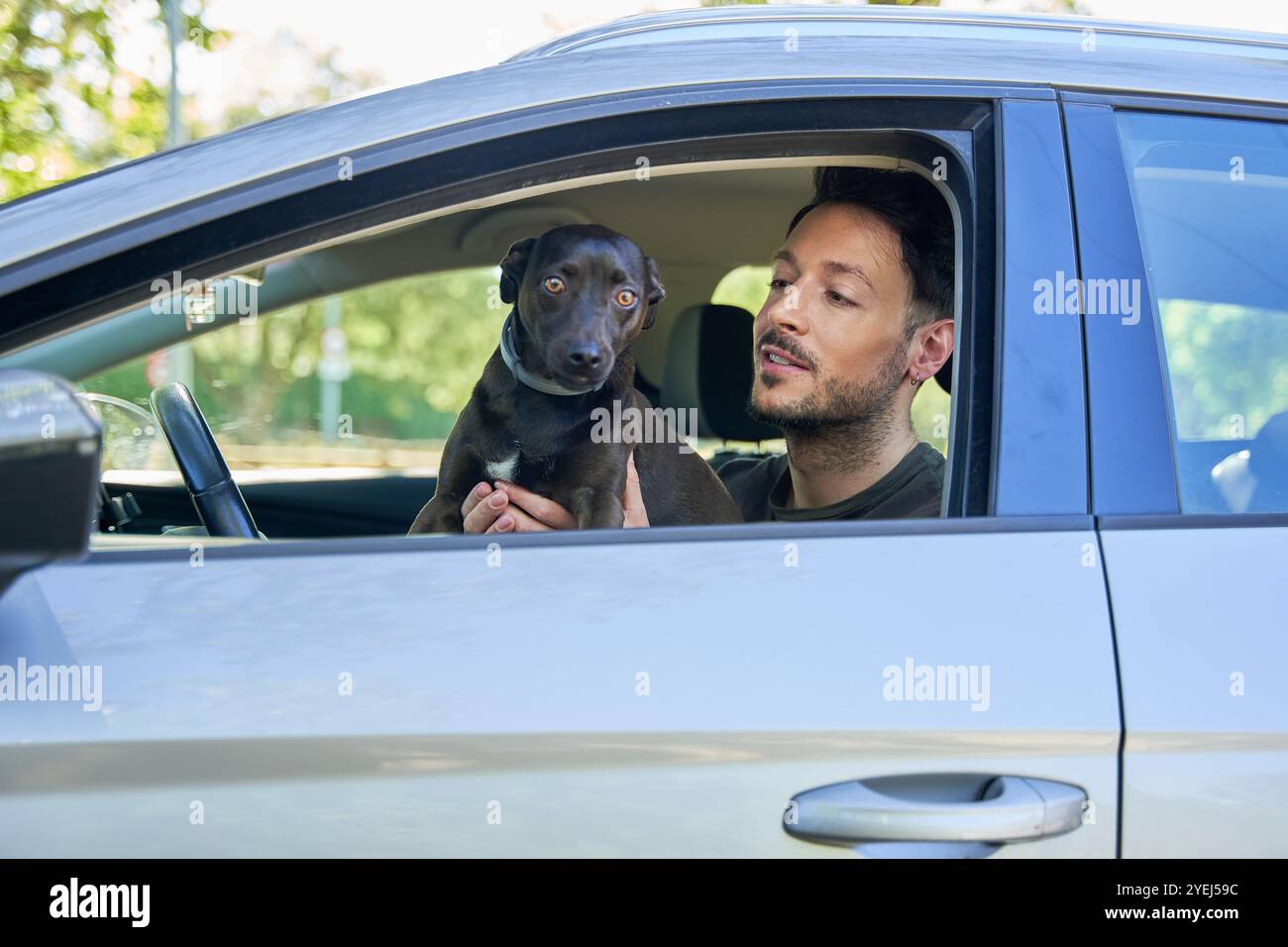 Taking dog for a drive hi-res stock photography and images - Alamy