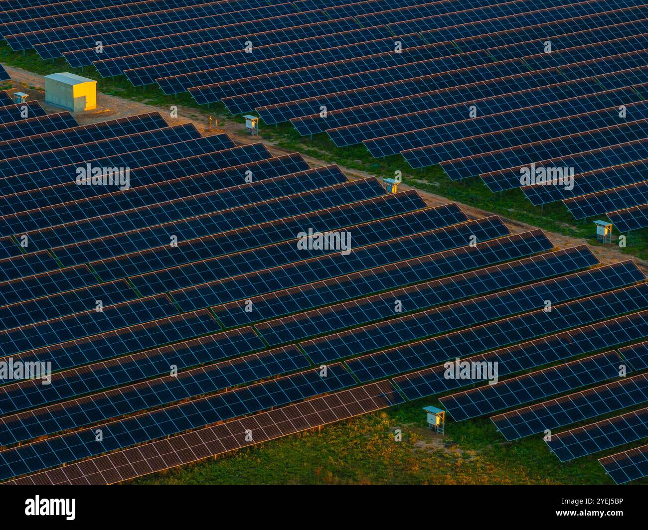 Expansive Solar Panel Field on Grassy Terrain in Lithuania Stock Photo ...