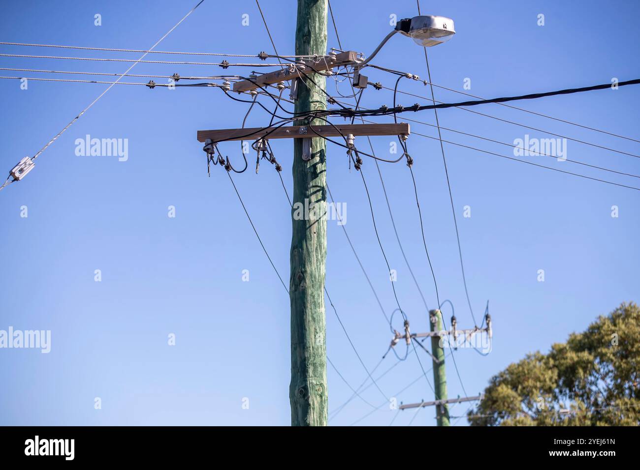 Close-up shot of a wooden utility pole with multiple electric cables ...