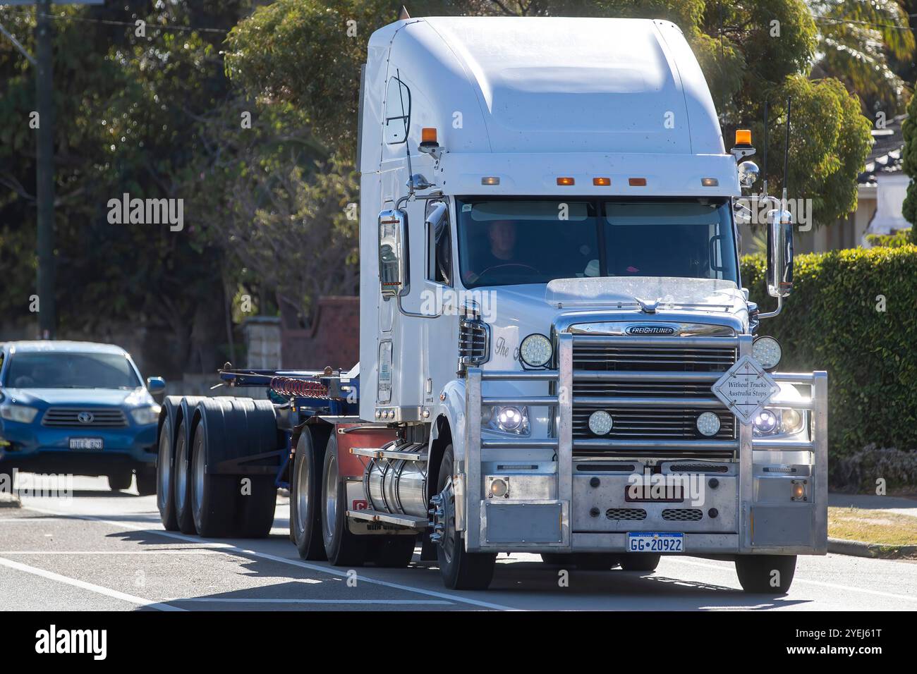 A front view of a white Freightliner coronado semi-truck with a bull ...