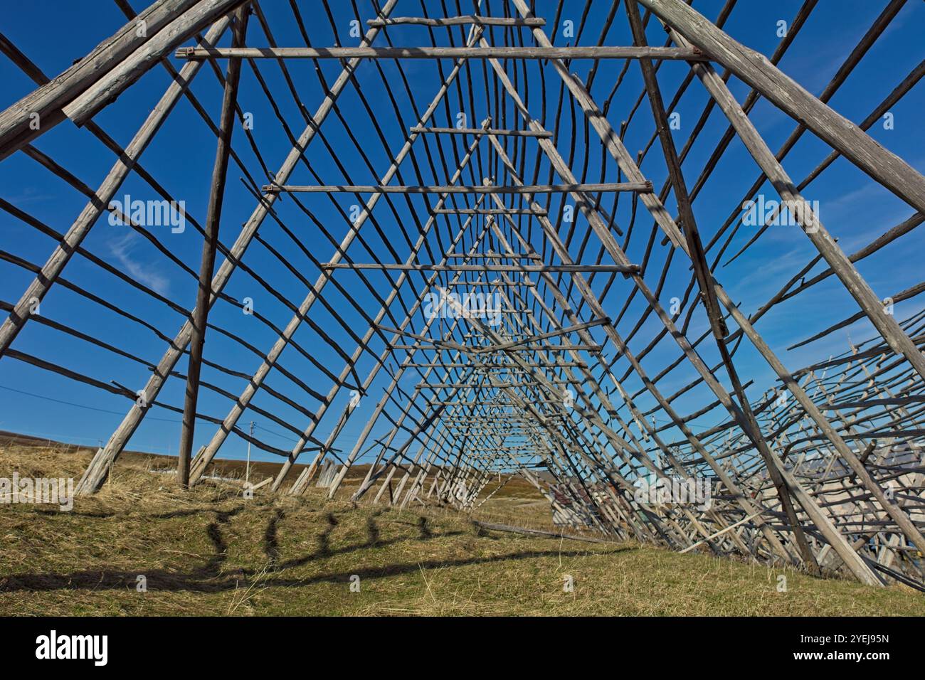 Traditional racks for drying of cod at Hamnefjellet in summer with ...