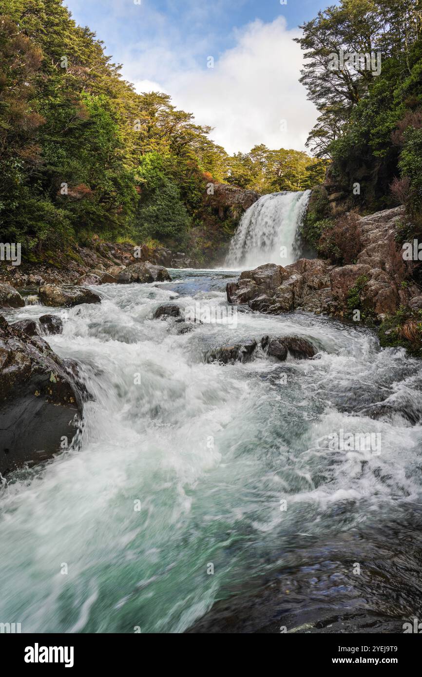 The Tawhai Falls in Tonario NP in New Zealand. This waterfall featured ...