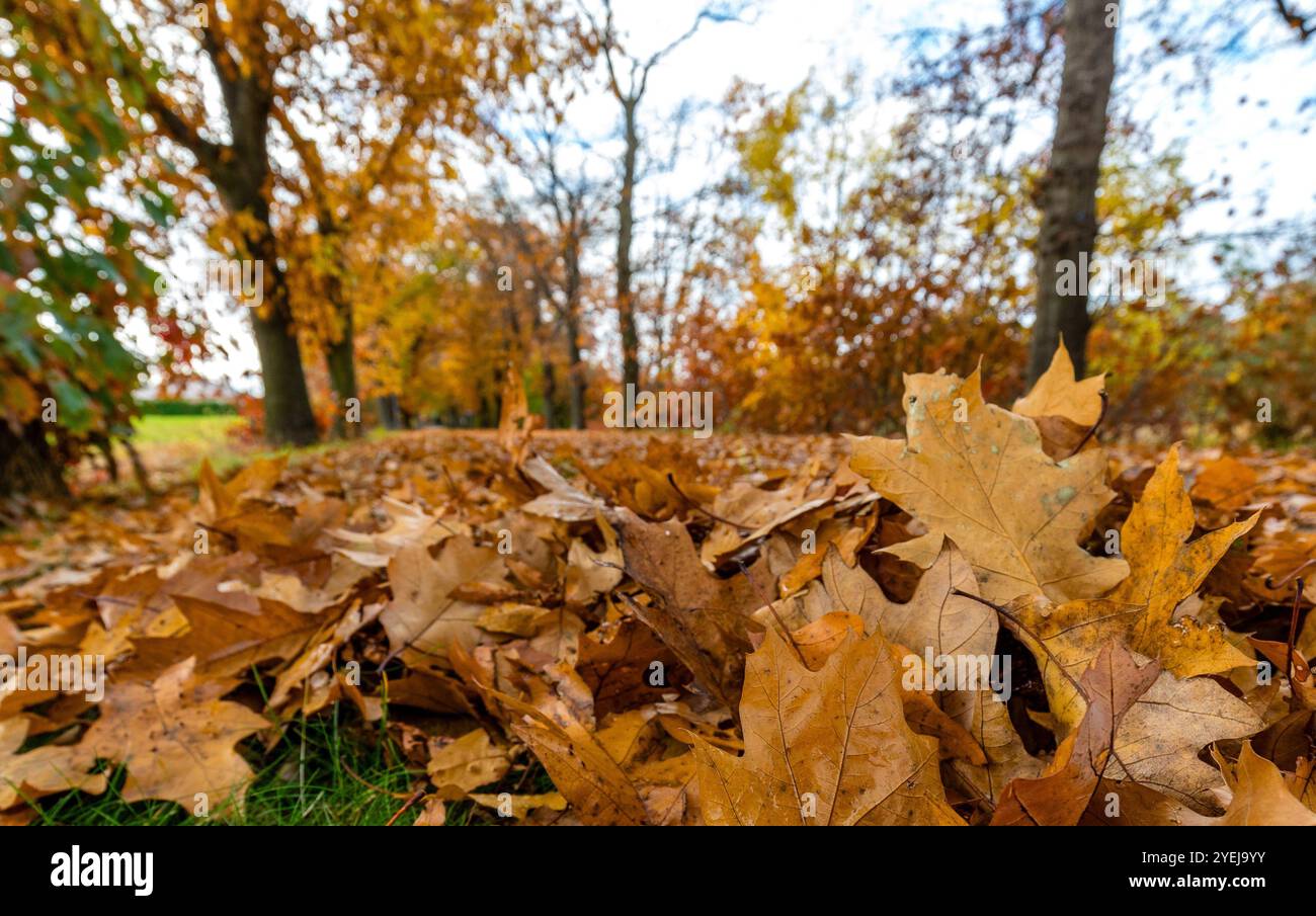Hammerschmidt dpa alamy hi-res stock photography and images - Alamy