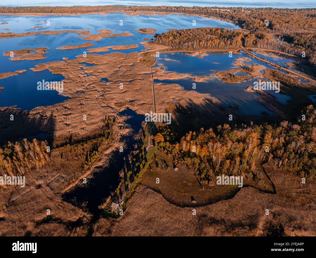 Aerial View of Wetland and Marshland in Latvian National Park Stock ...