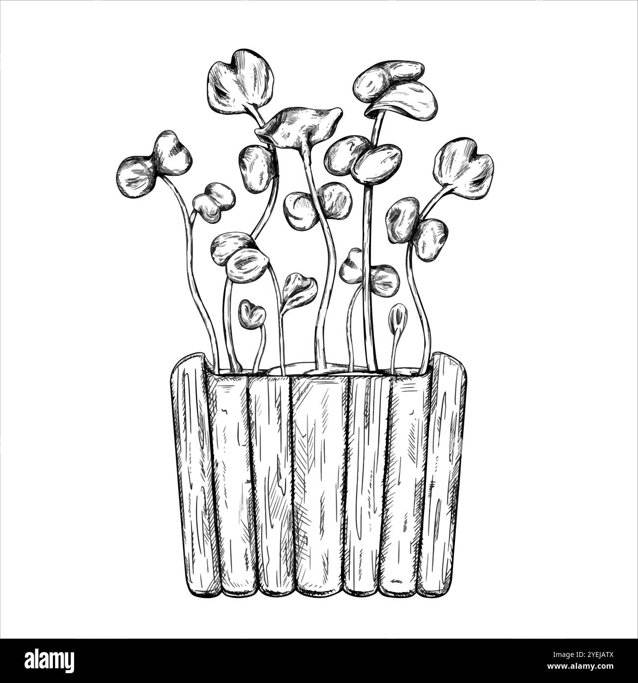 Home cultivation Black and White Stock Photos & Images - Alamy