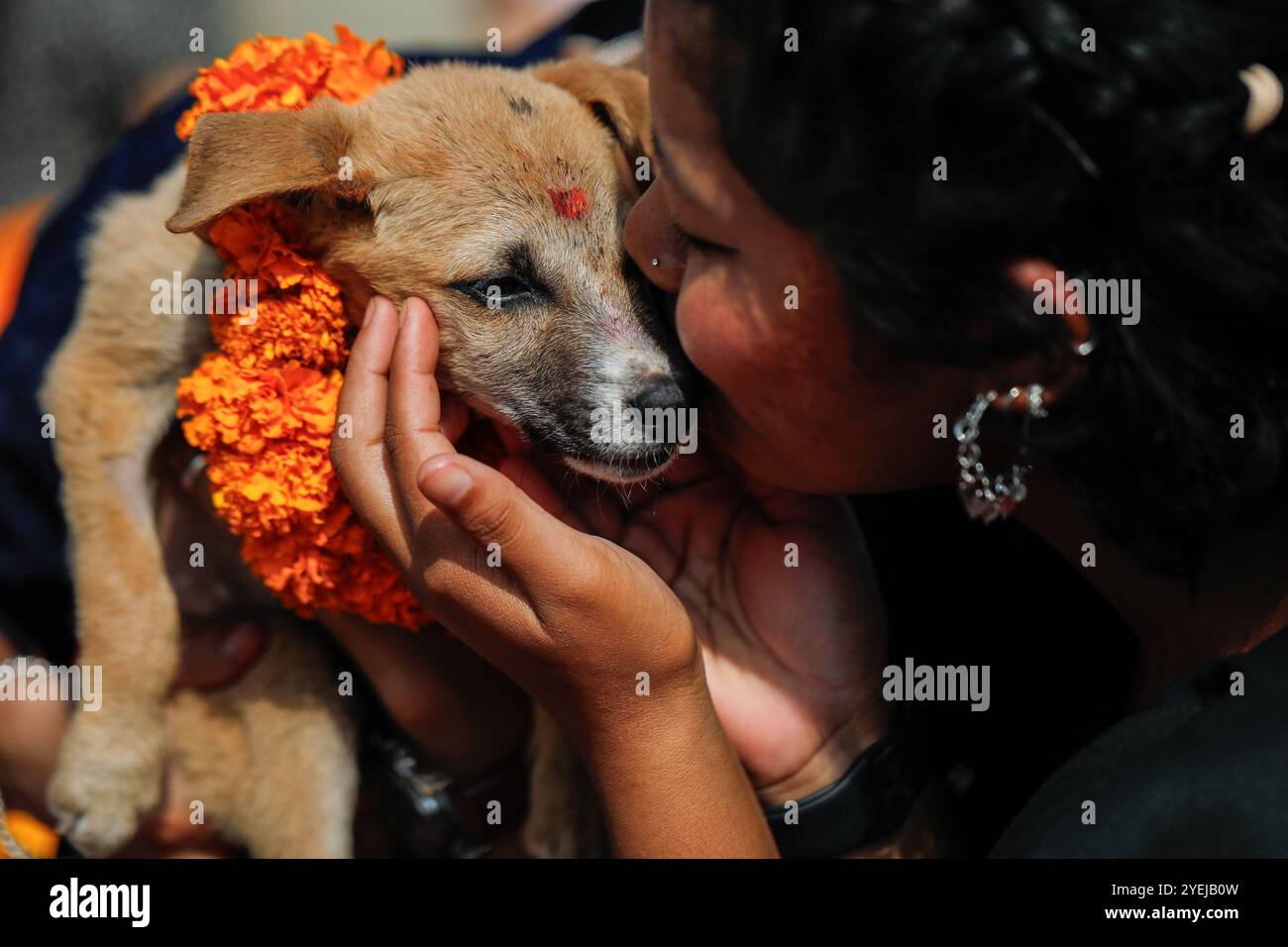 Yama dogs hi-res stock photography and images - Alamy