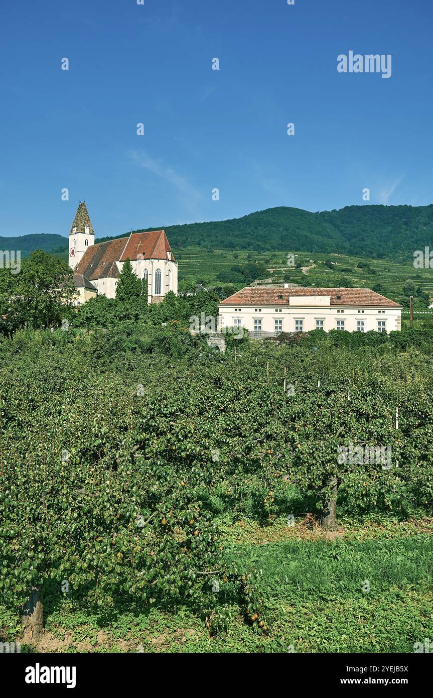 Wachau village spitz at danube river hi-res stock photography and ...