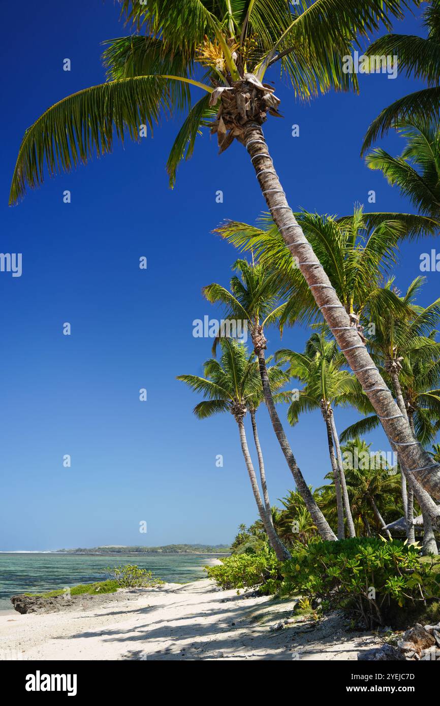 The Fiji Islands on the Coral Coast near Sigatoka. One can go swimming ...